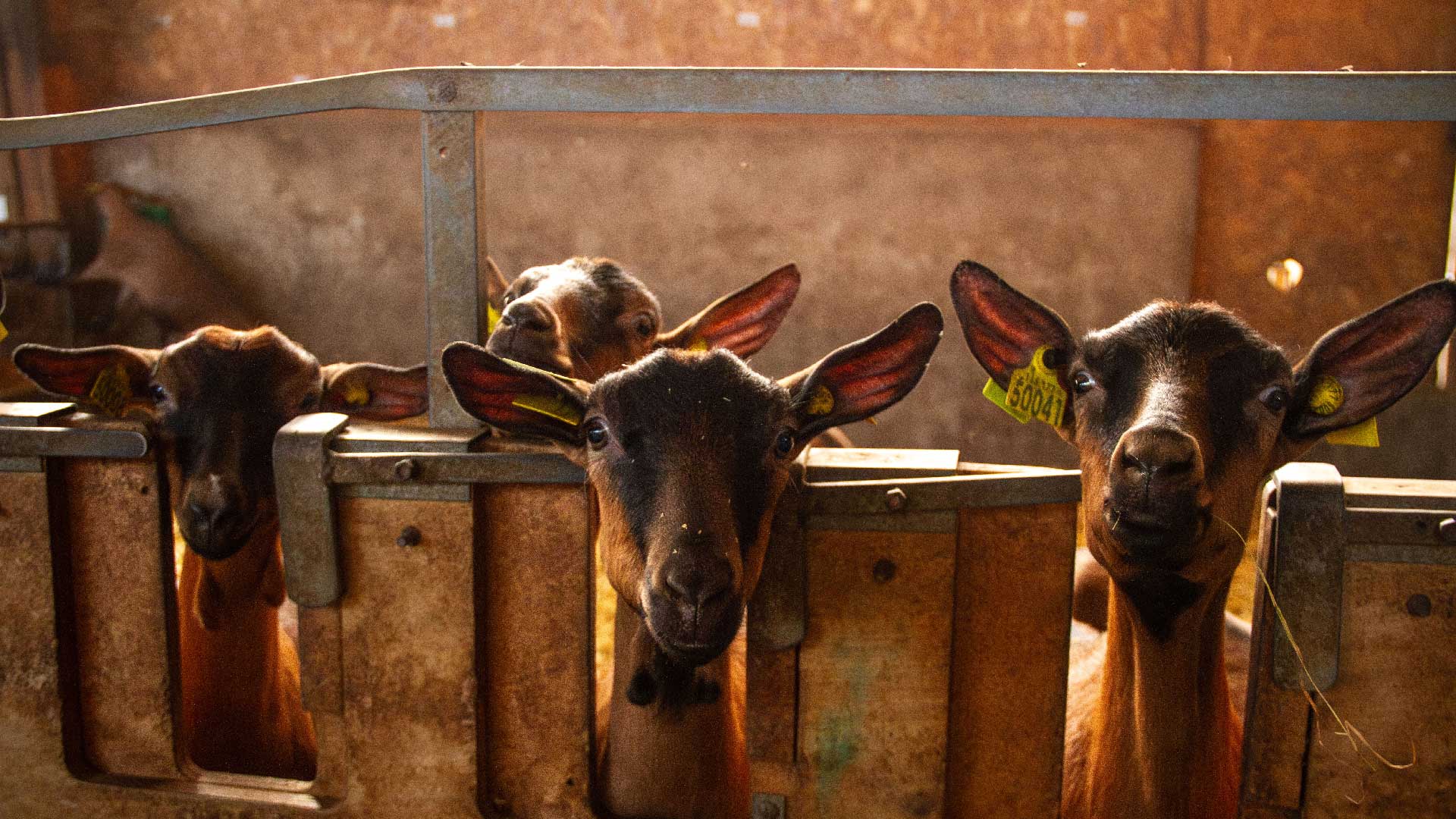 Dossier Spécial Congrès FNEC en Aveyron ! - La Volonté Paysanne