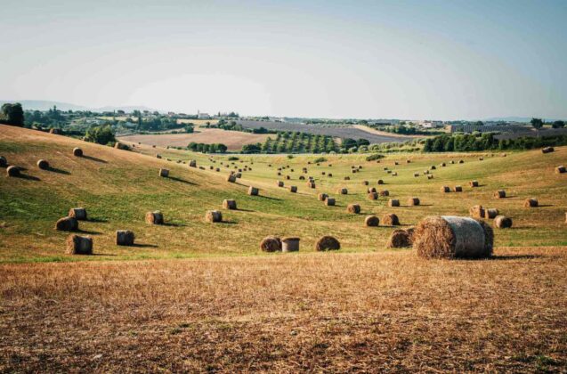 L’exode rural touche la moitié des jeunes majeurs - La Volonté Paysanne