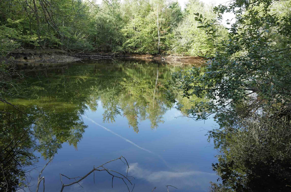 Un réseau pour la biodiversité - La Volonté Paysanne